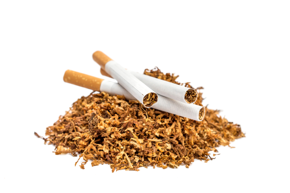 Where to Buy Cut Rag Tobacco Leaves?